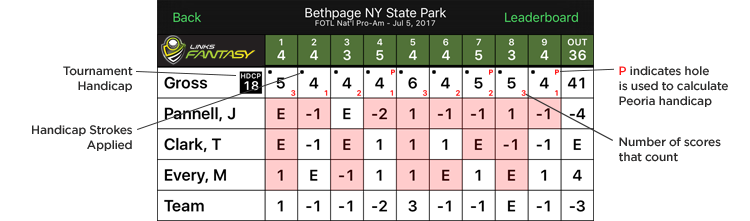 Links Fantasy | Rules of Competition